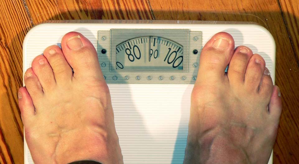 Que faut-il savoir pour choisir une balance ? - Le Moteur